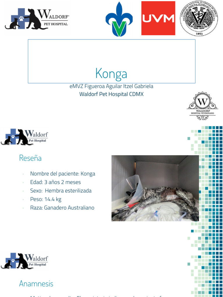 KONGA | PDF | Especialidades Medicas | Medicina CLINICA