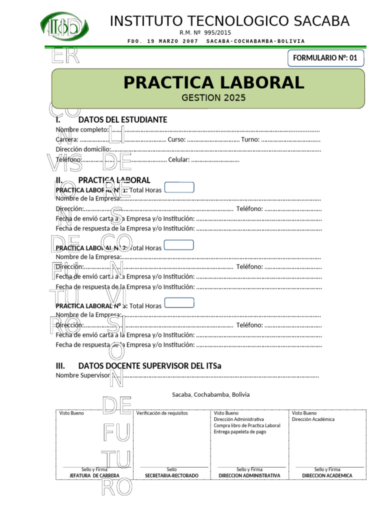 04 CARATULA Practica Laboral 2025 | PDF