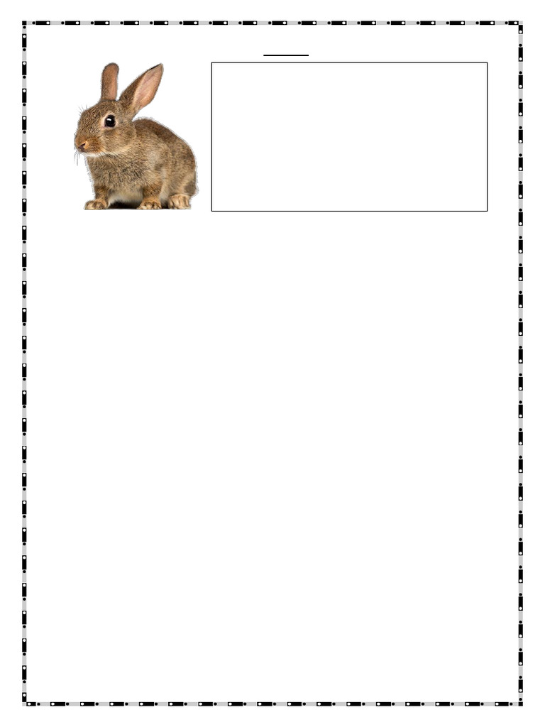 Fill in The Blanks: My Pet | PDF