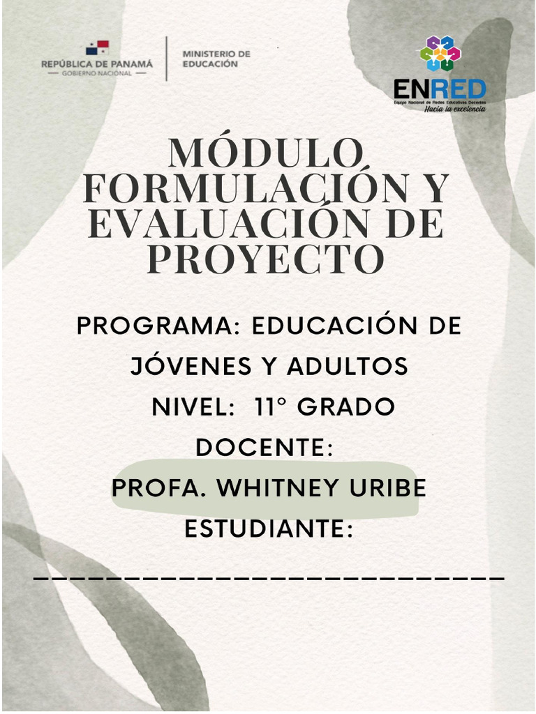 MODULO-FORMULACION-Y-EVAL-DE-PROYECTOS-11 | PDF | Infraestructura | Estudio de factibilidad