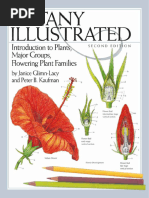 Eukaryotic Cells - Plant, Algal & Fungal Cells Revision Notes - A-Level ...