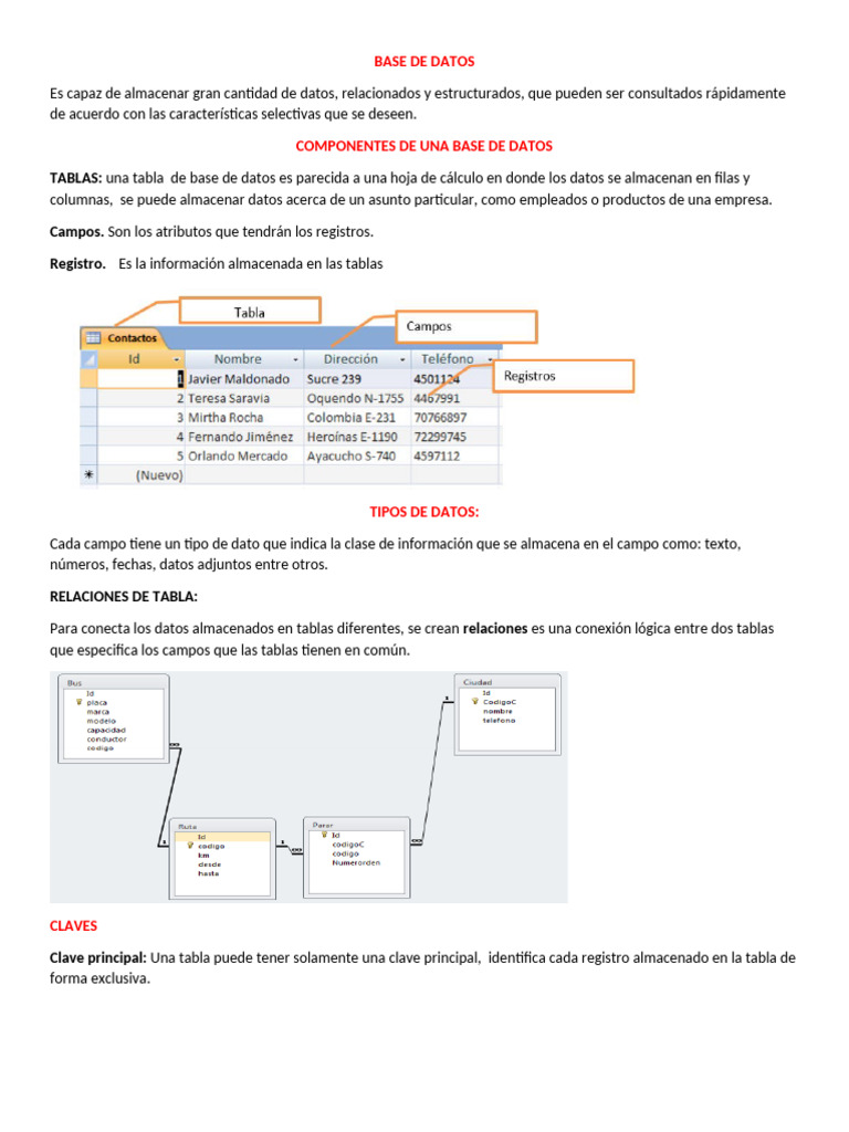 BASE DE DATOS resumen | PDF