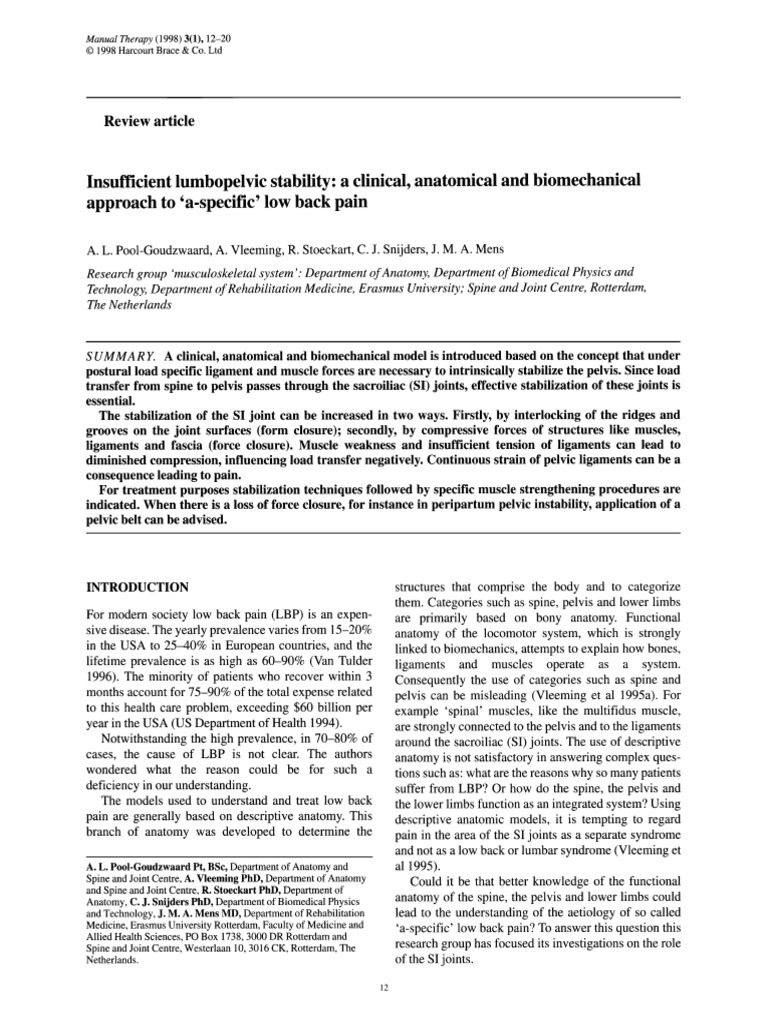 Lumbo Pelvic Stability | PDF