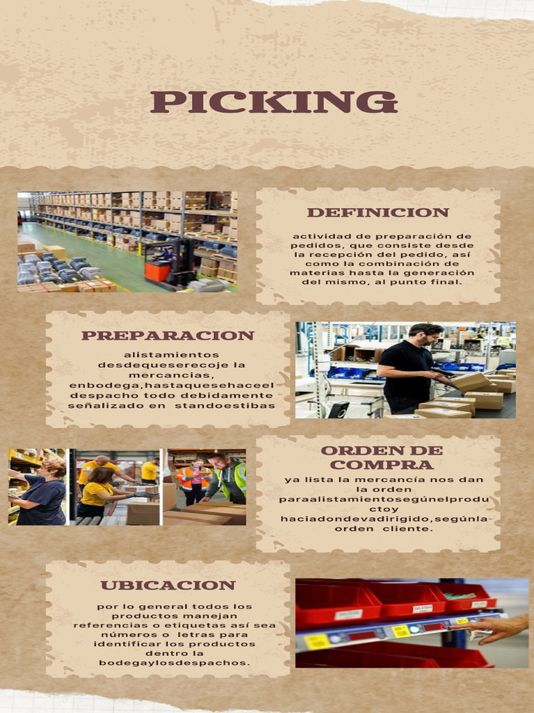 Infografia Piking | PDF