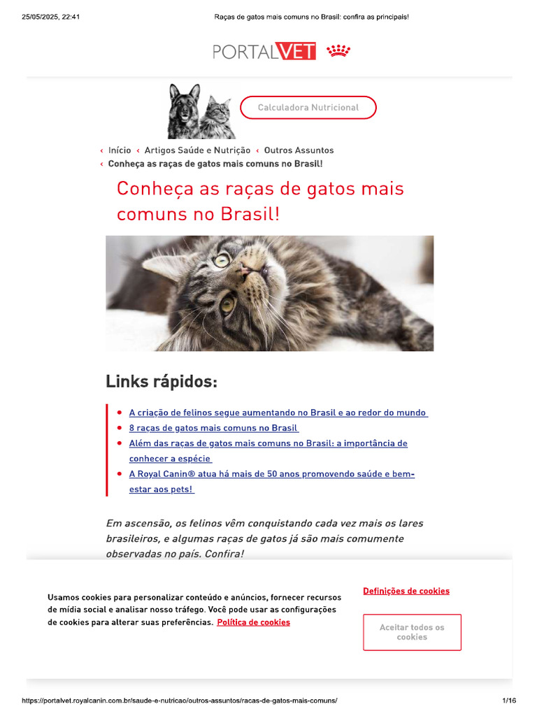 Gatos | PDF
