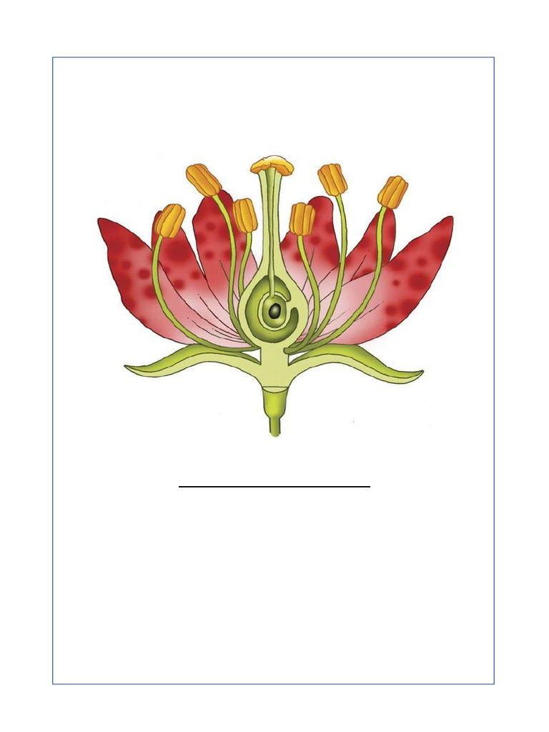Modul Ajar Berdiferensiasi Dan Terintegrasi PSE Mapel IPAS Kelas 4 ...