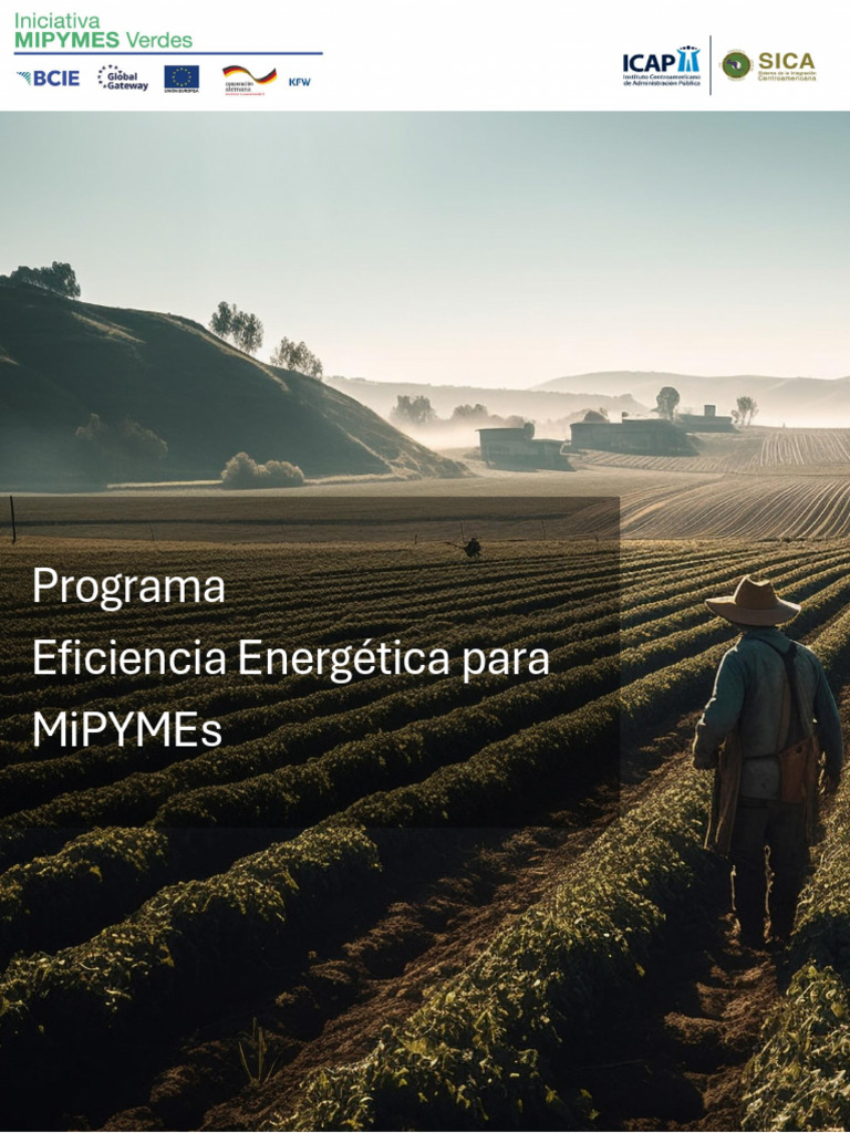 Programa Eficiencia Energetica | PDF | Uso eficiente de energía ...