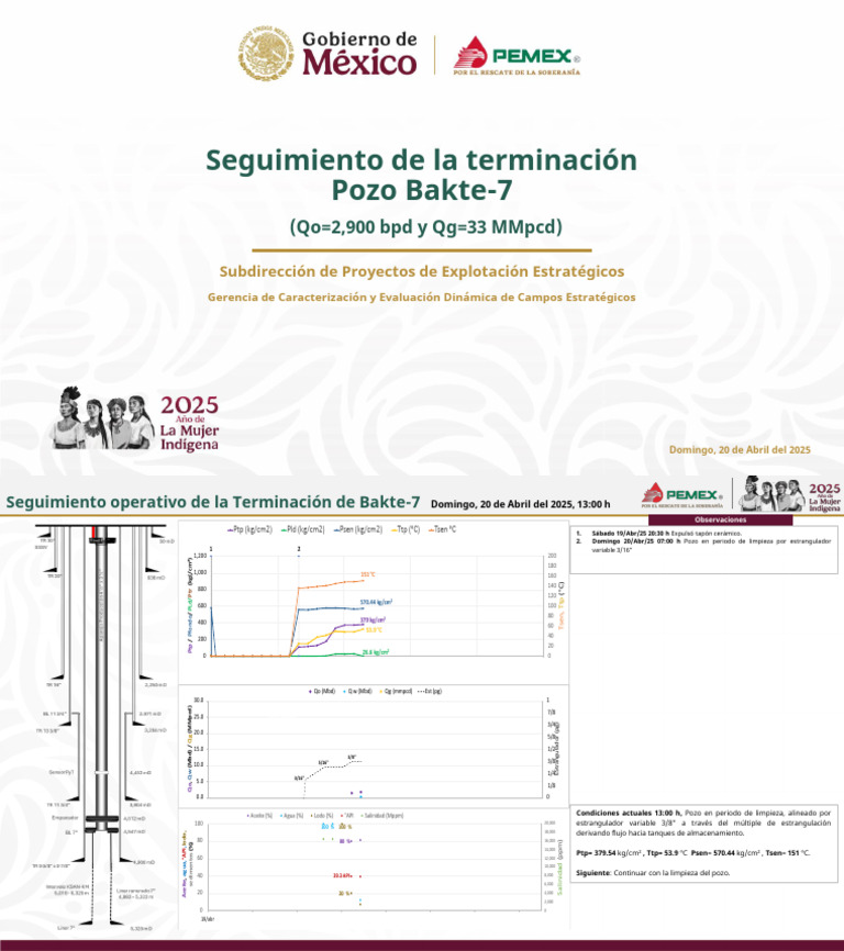 Seguimiento Pozo Bakte-7: Limpieza y Datos | PDF