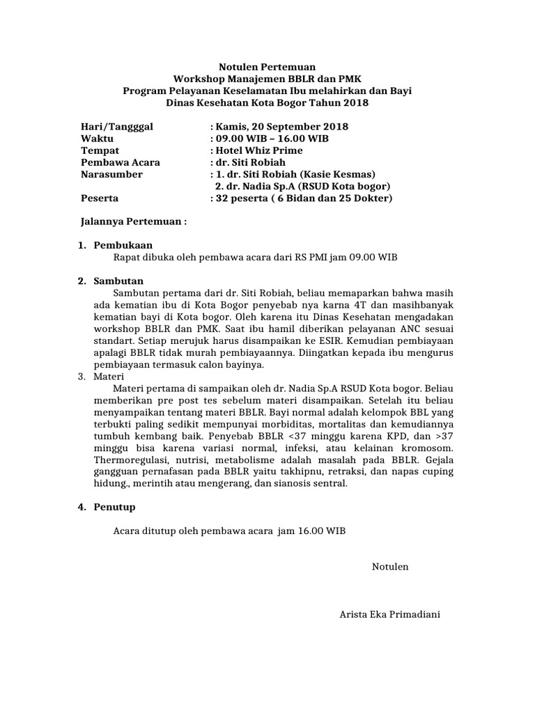 Workshop BBLR Dan PMK Dokter Dan Bidan | PDF