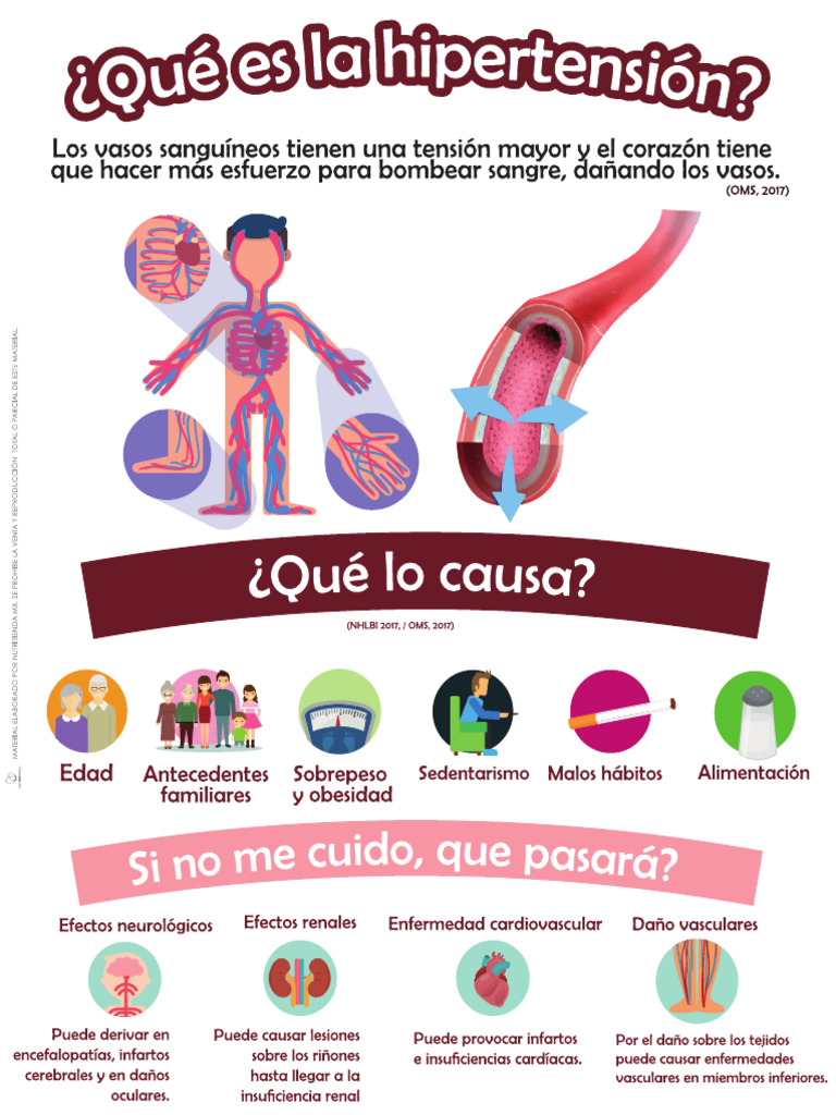Infografia Hta | PDF
