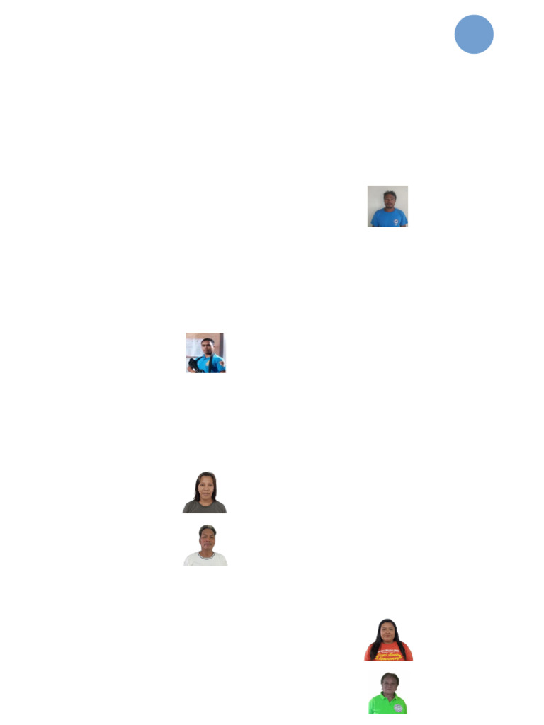 BADAC TEMPLATE Council Organizational Structure | PDF