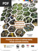 BUKA Ya Dingaka | PDF | Languages Of Africa | Languages