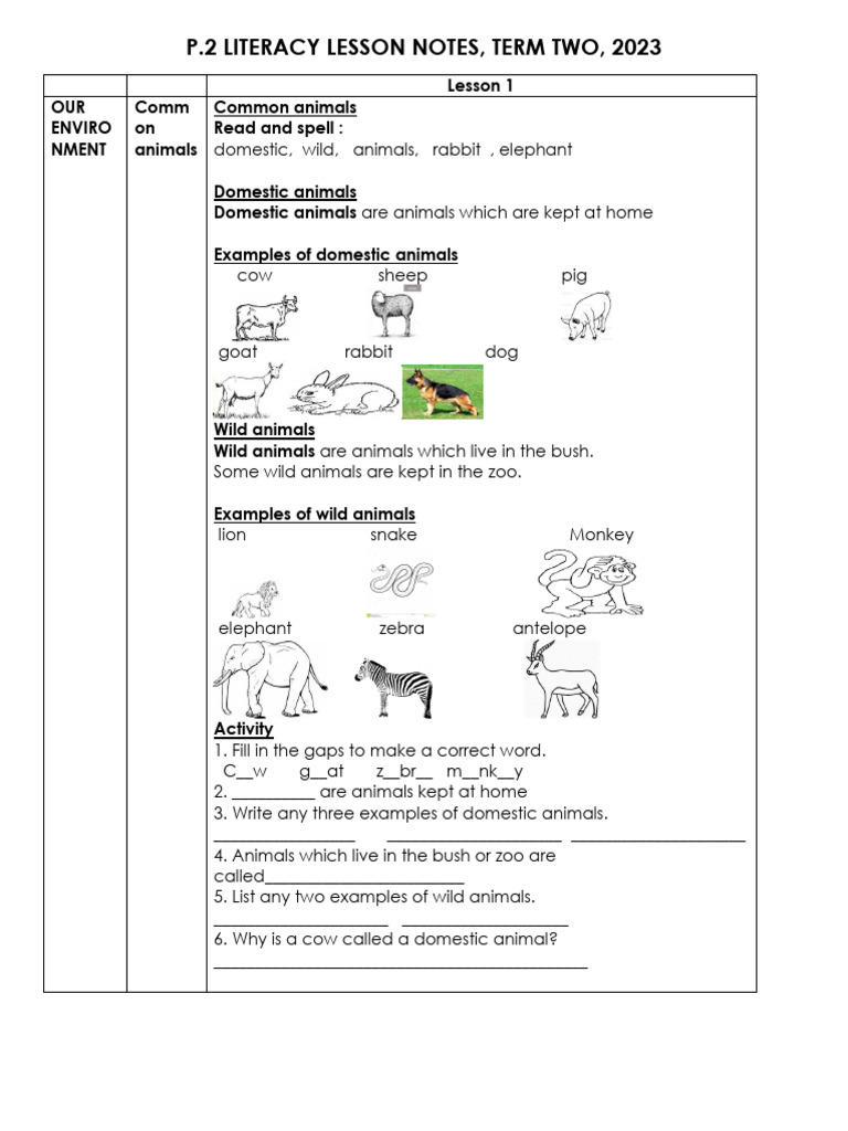 Term 2 Literacy Notes: Animals & Insects | PDF | Insects | Seed