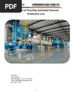 Carbon Purification Model | PDF
