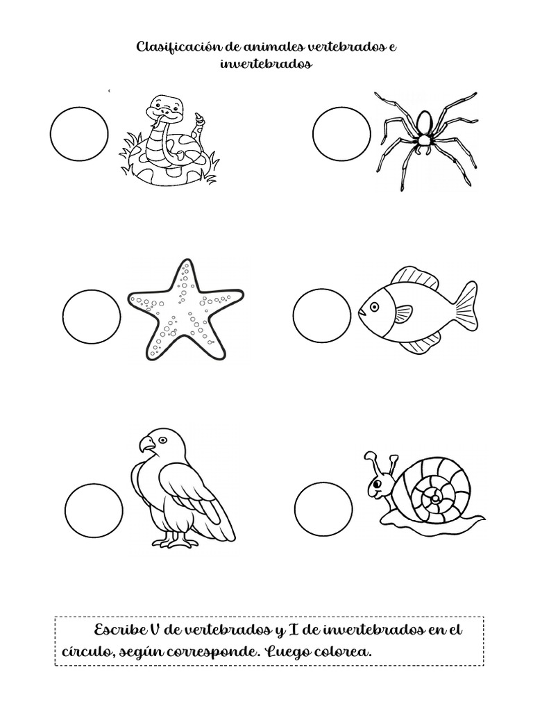 Animales vertebrados e invertebrados | PDF
