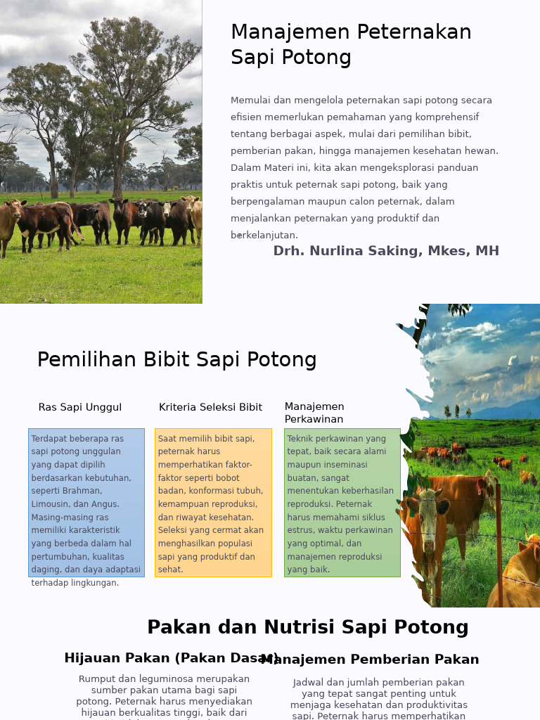 Panduan Manajemen Peternakan Sapi Potong | PDF