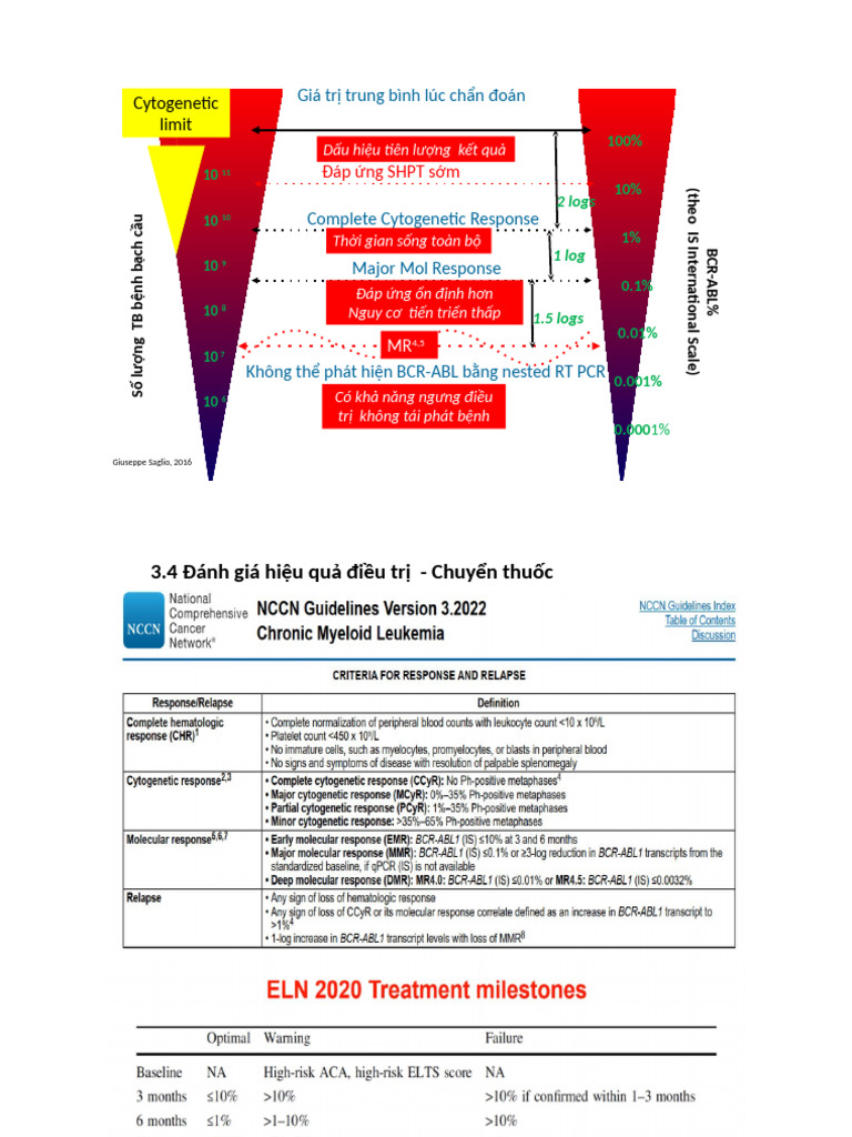 Cac Muc ĐUĐT CML | PDF