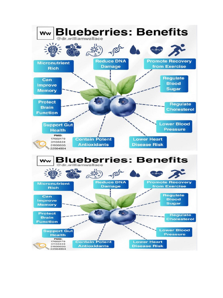Blue Berries Exercise | PDF