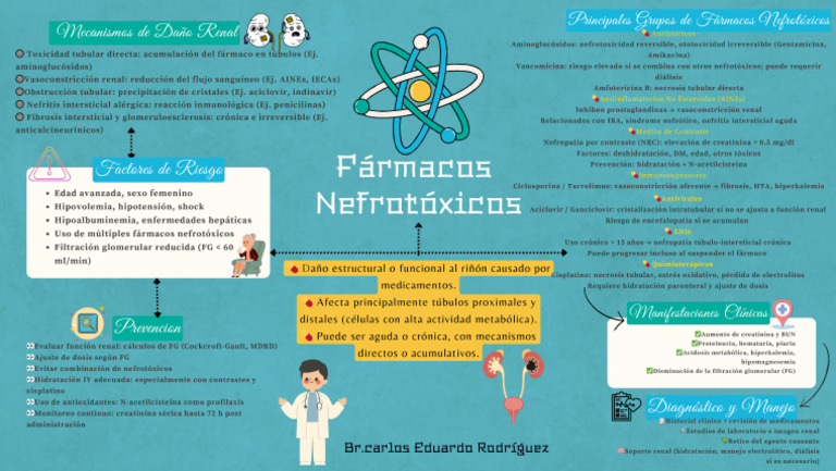 Mapa Mental Fármacos Nefrotoxicos | PDF