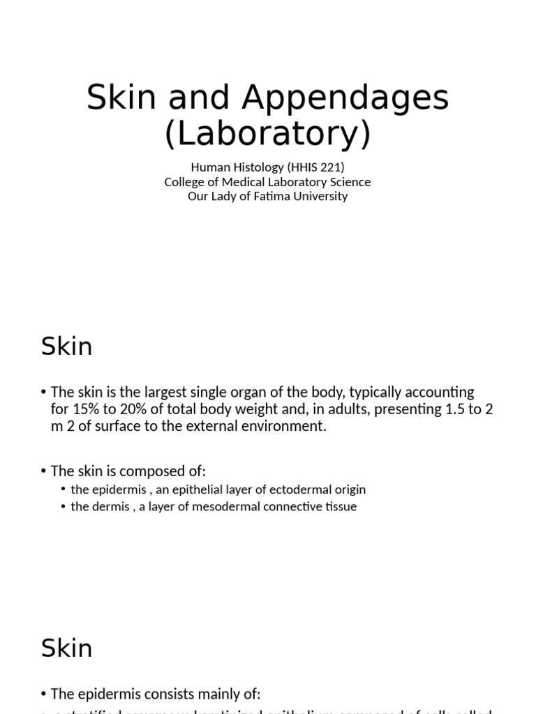 Human Skin Histology Overview | PDF | Epidermis | Skin
