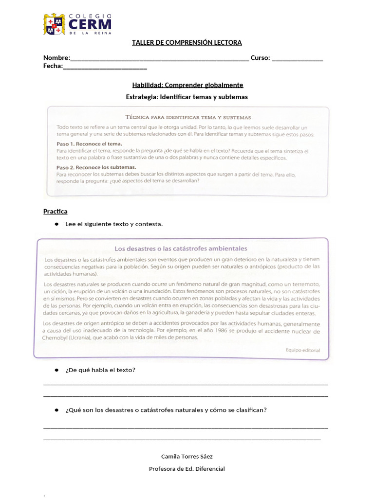 Habilidad 1 - Est - Identificar Temas y Subtemas. (I y II M) | PDF