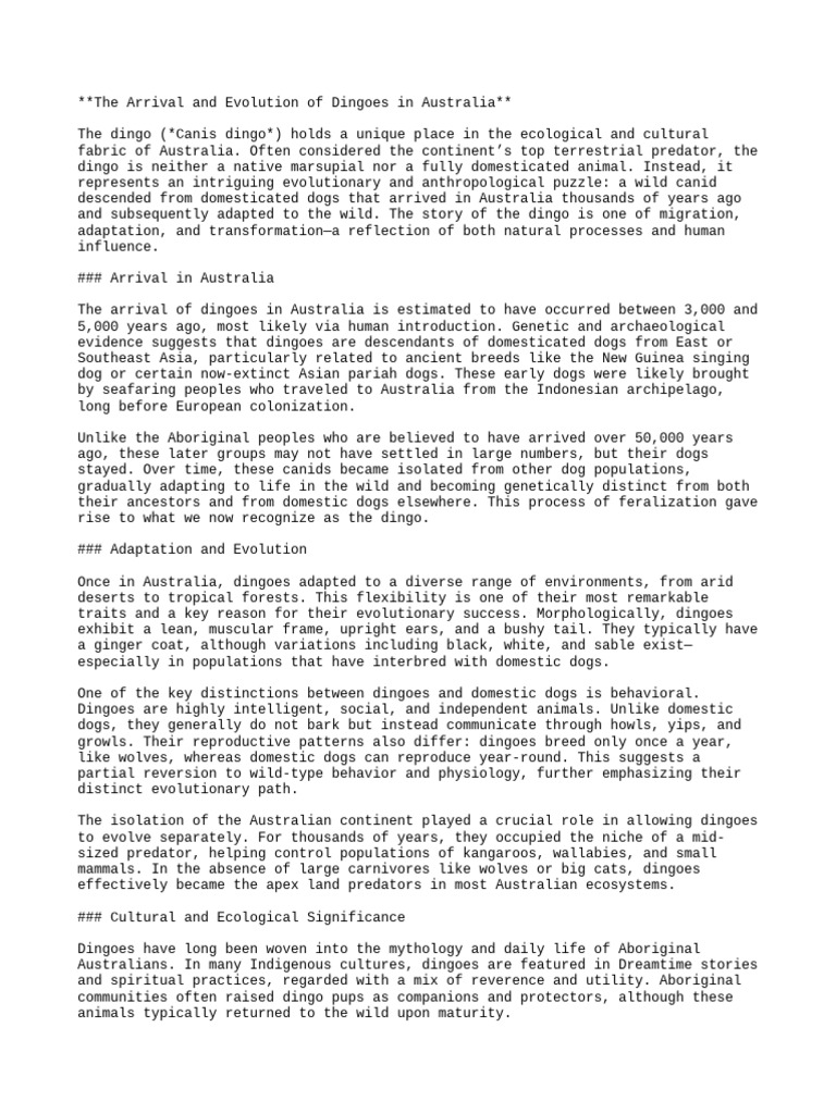 Dingo Evolution and Ecology in Australia | PDF | Dogs | Evolution