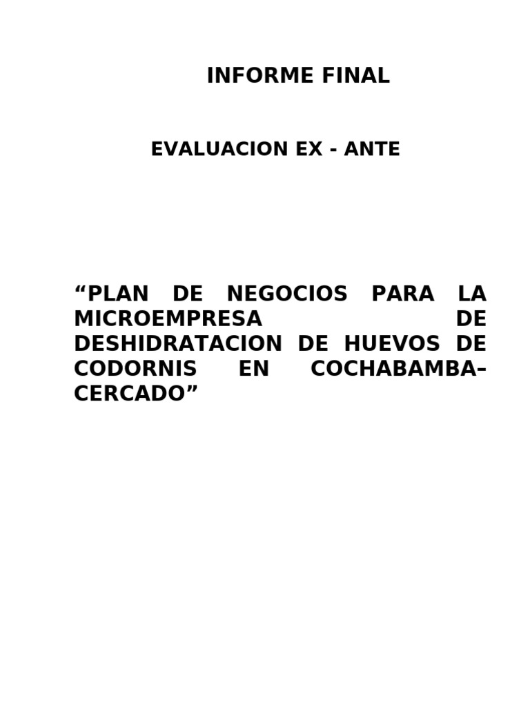 Evaluaciòn Ex - Ante - Ejemplo de Informe Final - Unicen 2025 | PDF | Mercado (economía ...