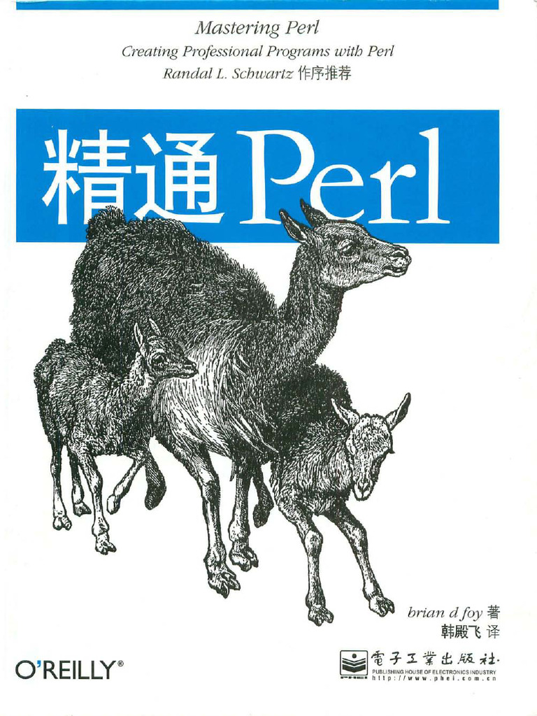 精通Perl | PDF