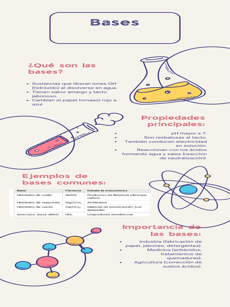 Bases Comunes: Propiedades y Usos | PDF