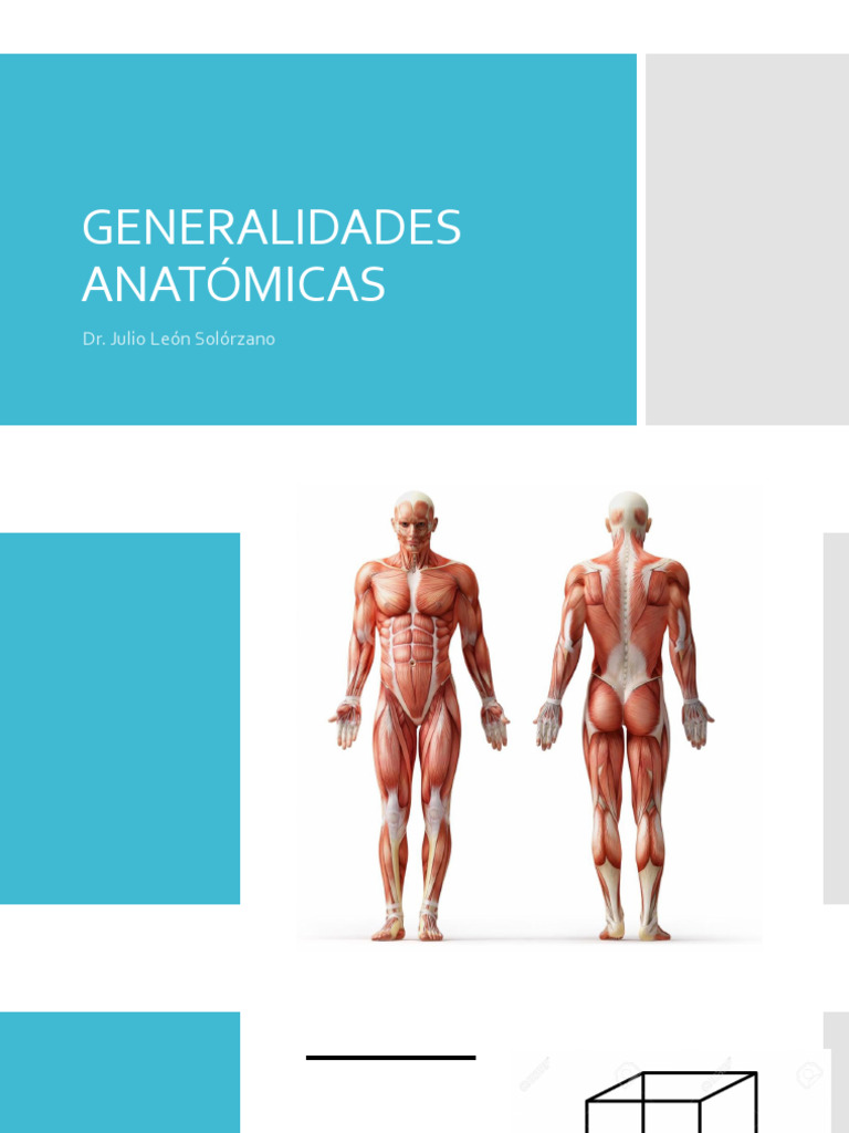 Generalidades Anatómicas | PDF