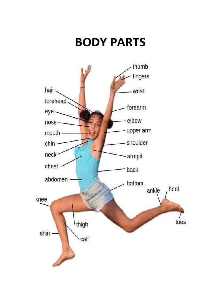 Body Parts and Parts of The Face 1 | PDF
