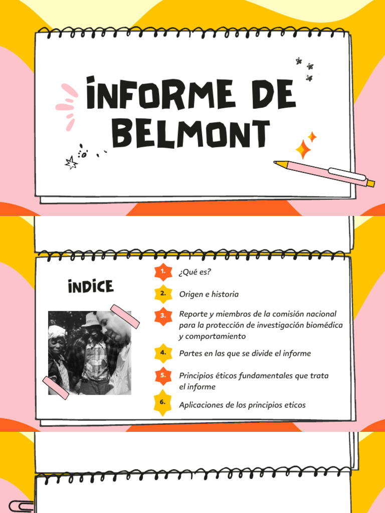Informe Belmont | PDF
