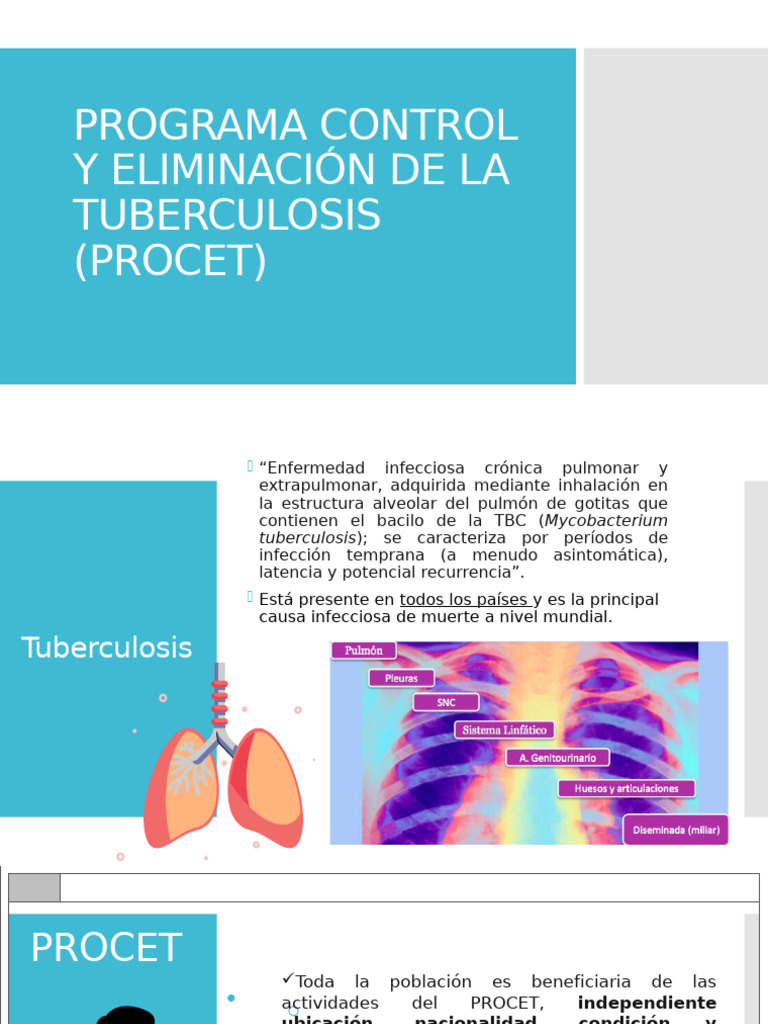 Programa PROCET: Control de Tuberculosis | PDF