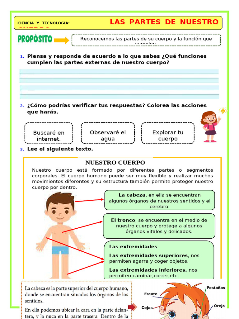 U1 S4 Ficha D3 CT Las Partes de Nuestro Cuerpo Maestras de Primaria Del ...