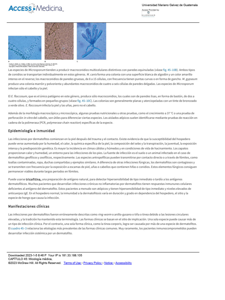 Infecciones por Dermatofitos: Tipos y Características | PDF ...