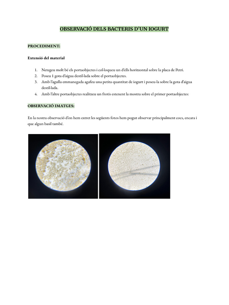 Bacteris Del Yogurt | PDF