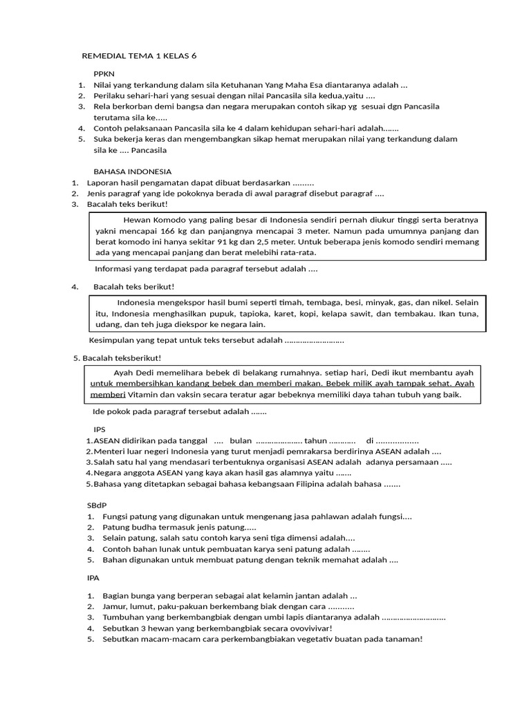 Remedial PKN, Bahasa, IPS, SBdP, IPA Kelas 6 | PDF