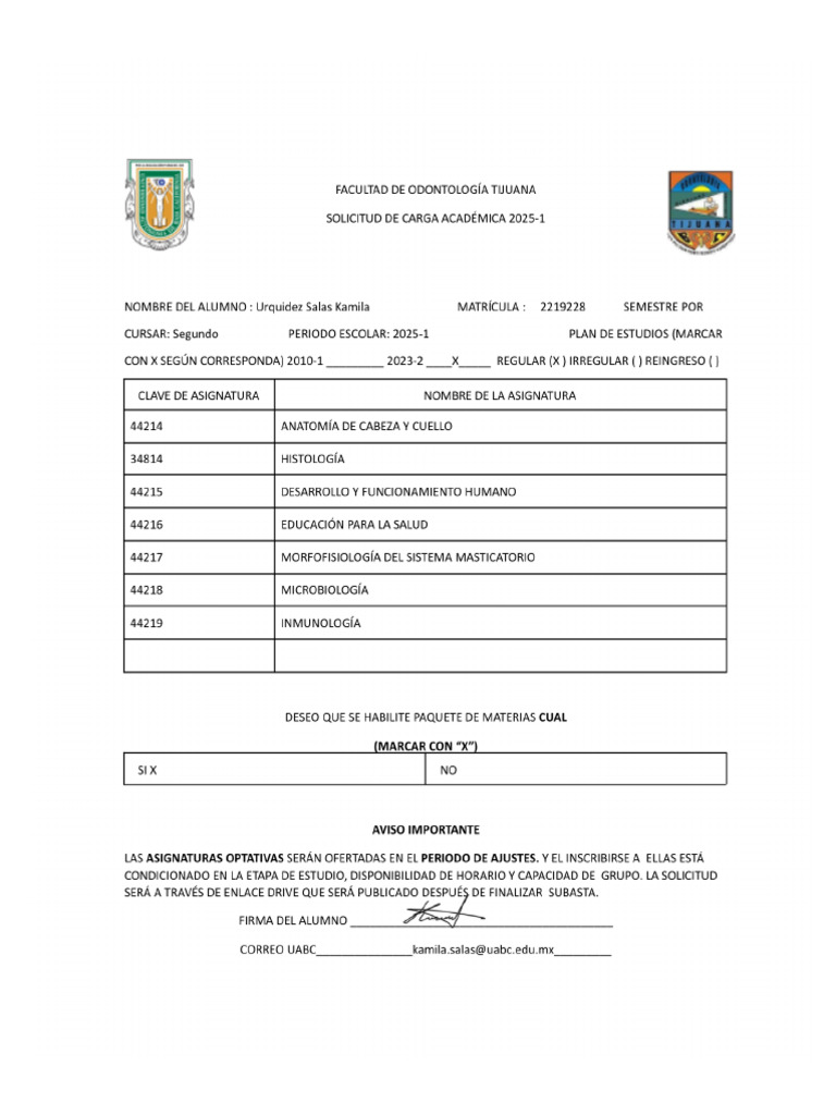 Formato Correcto | PDF