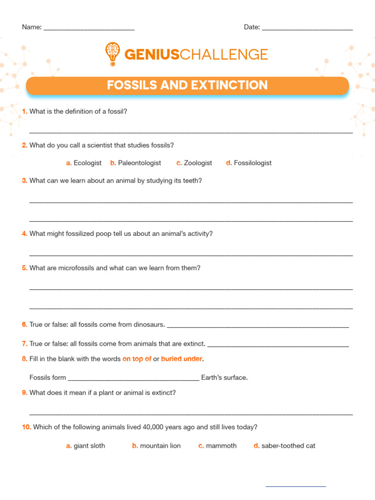 Fossils-and-Extinction-Worksheet-GG | PDF
