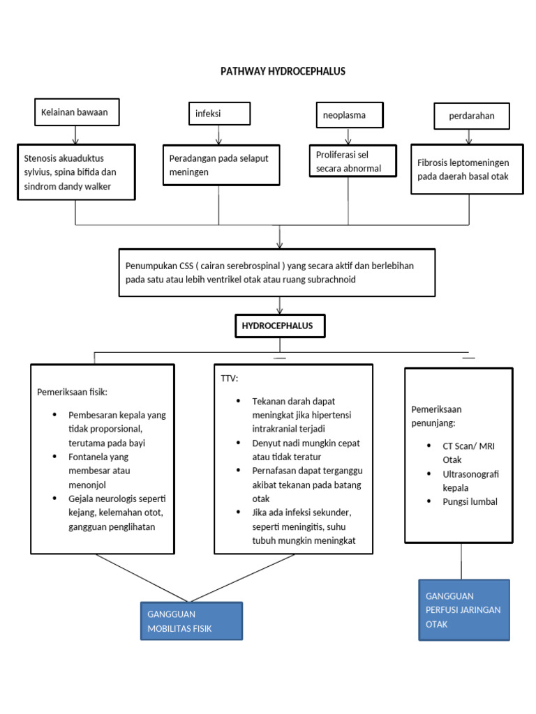 PATHWAY HYDROCEPHALUS | PDF