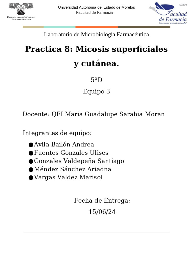 Práctica 8. Micosis Superficiales y Cutáneas | PDF | Hongo | Espora