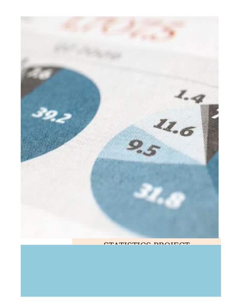 Statistics Project | PDF