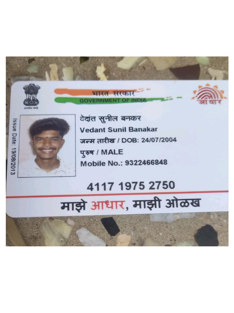 PDFGallery 20240929 184401 | PDF