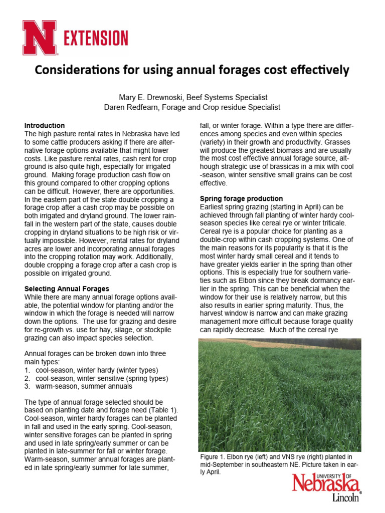 Annual-Forage-Options Descriere | PDF | Cereals | Wheat