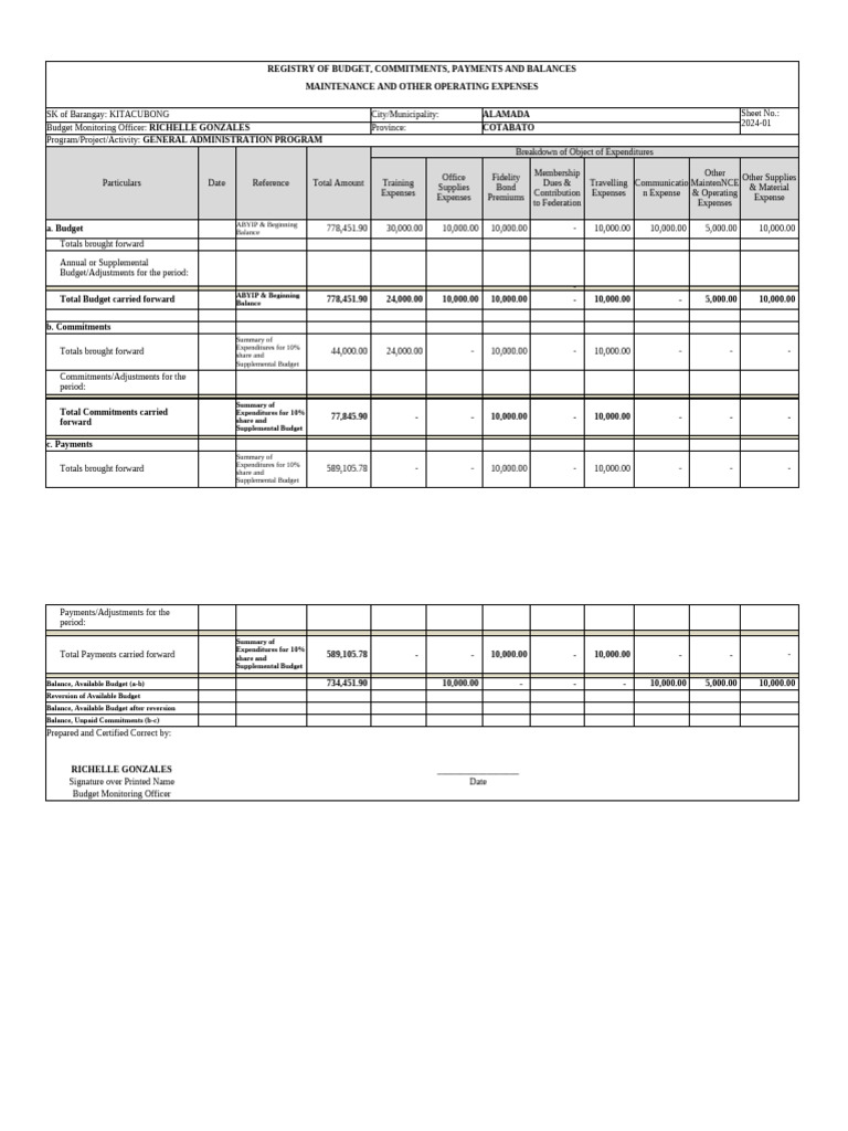 SK-Forms | PDF | Budget | Expense