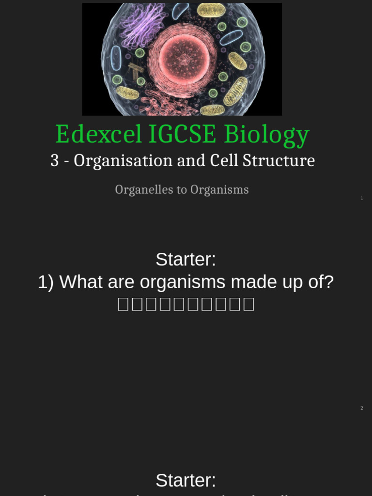 IGCSE Biology Lecture 3 - Organisation and Cell Structure | PDF | Cell (Biology) | Cytoplasm