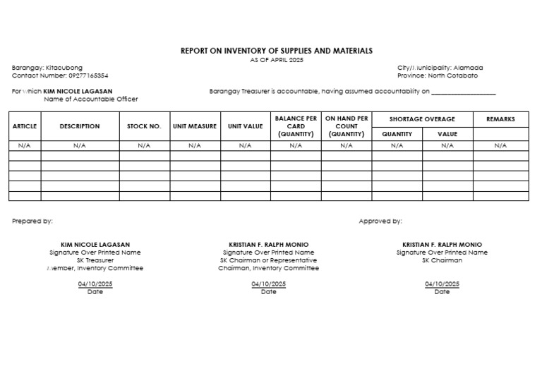 Report On Inventory of Supplies and Materials | PDF