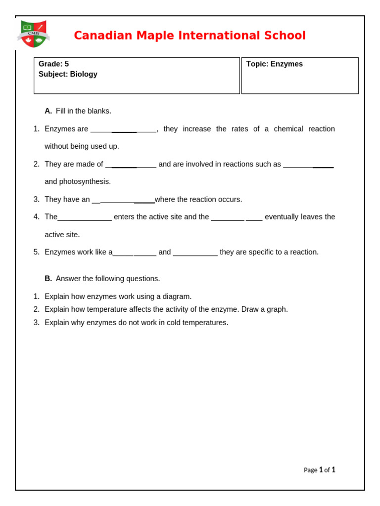 G5_Biology_Enzymes _Workseet_T2_2024-25 | PDF