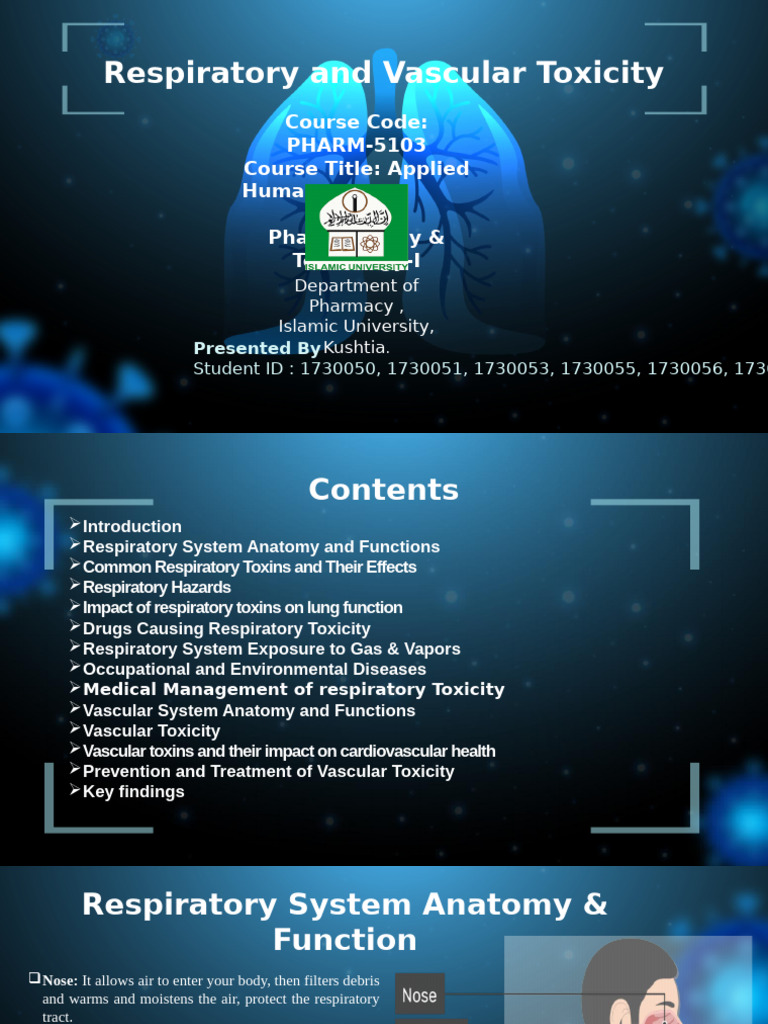 Respiratory Vascular Toxicity Final | PDF | Respiratory Tract | Lung
