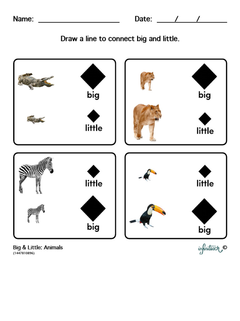 Big and Little Animals 93 43 1447810896 | PDF